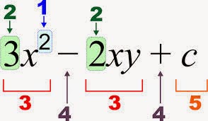 Matemática en acción: 1. Introducción al Algebra